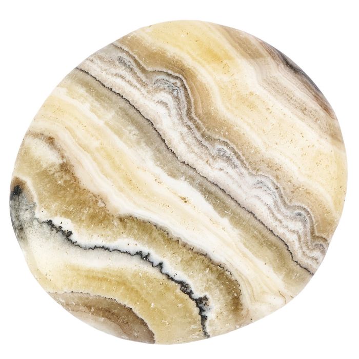 Zebra Jasper Smoothstone (1pc)