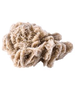 Wholesale Raw Crystals & Minerals
