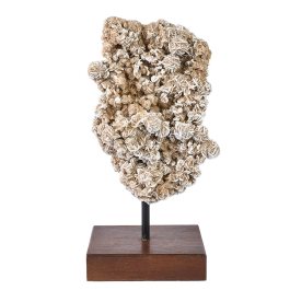 Sandrose on Plinth. 2.64kg, (1pc)