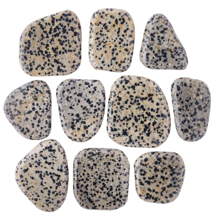 Dalmation Jasper 35-45mm Smoothstone (10pcs) NETT