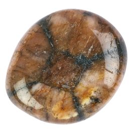 Chiastolite Smoothstone (1pc)