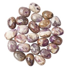 Dog Tooth Amethyst Tumblestone Refill (25pcs)